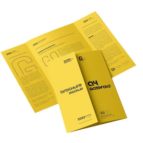 Visual Elements in Brochures: Examples & Best Practices